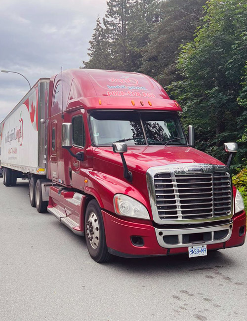 Apple Driving School 12187 103A Ave, Surrey, BC V3V 3G7, Canada